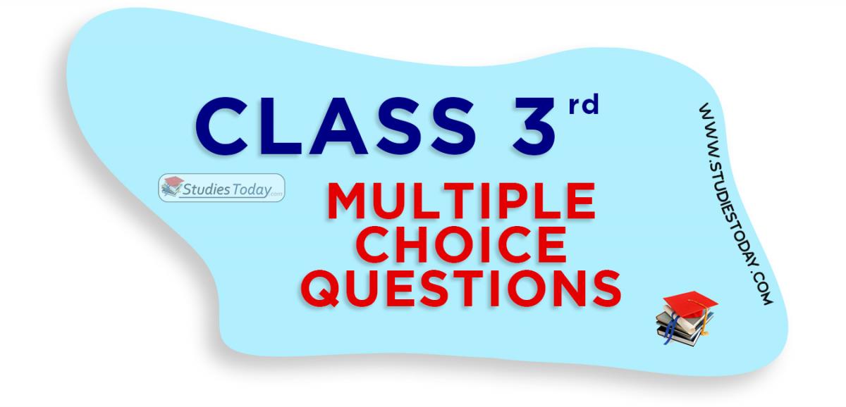 Class 3 MCQs with Answers PDF Download