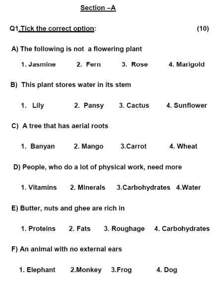 CBSE Class 4 Science Sample Paper Set K
