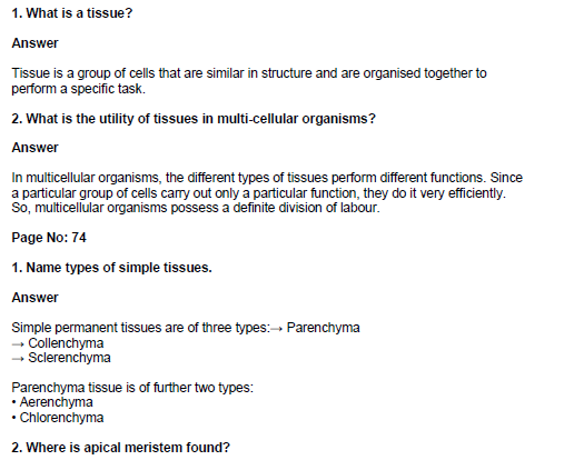 Class 9 NCERT Solutions Tissues