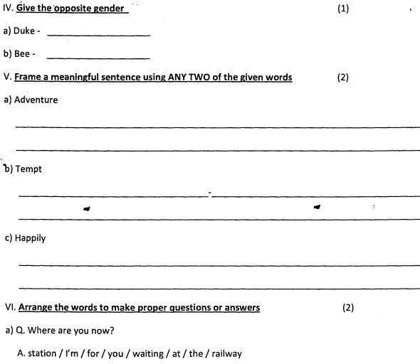 CBSE Class 4 English Question Paper Set H