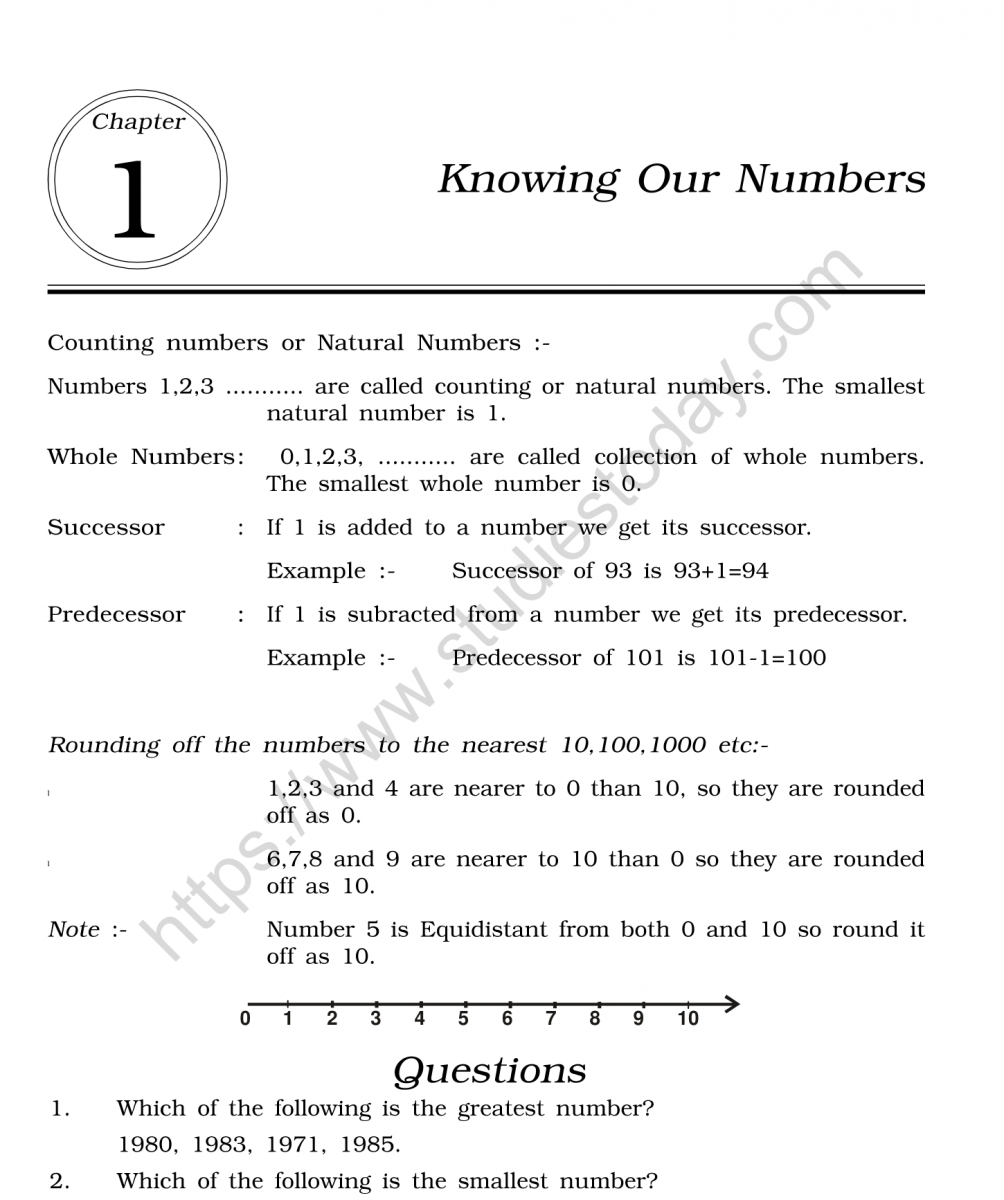 Types Of Numbers Worksheet Grade 6