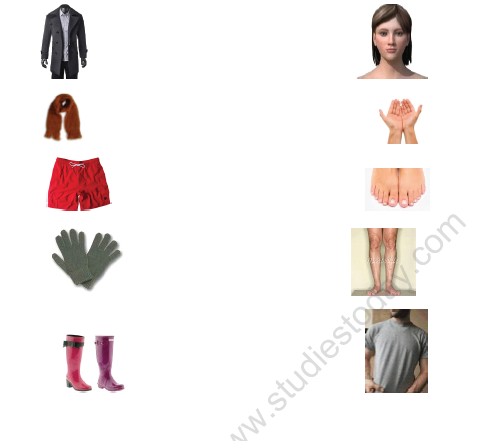 CBSE Class 1 EVS Clothes Worksheet