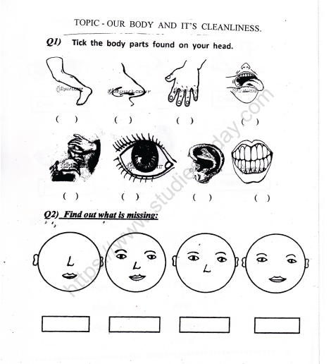 CBSE Class 1 EVS Our Body And Cleanliness Worksheet