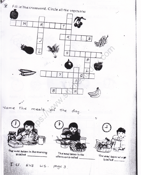 CBSE Class 1 EVS Our Food Worksheet