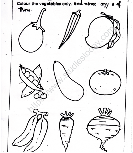 CBSE Class 1 EVS Our Food Worksheet