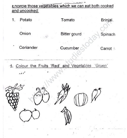 CBSE Class 1 EVS Our Food Worksheet