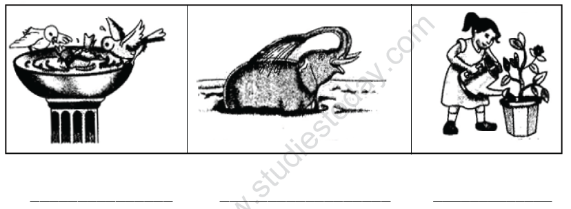 CBSE Class 1 EVS Revision Worksheet Set B