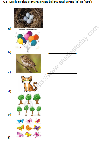 Class 1 English Printable Worksheet Set 5 Free PDF