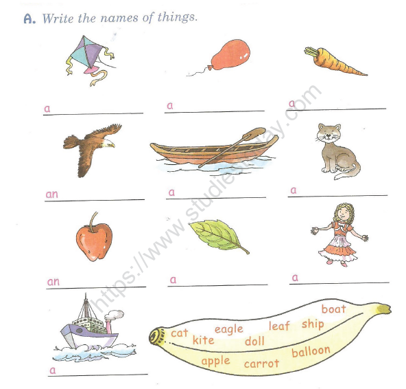 CBSE Class 1 English Name the things Worksheet