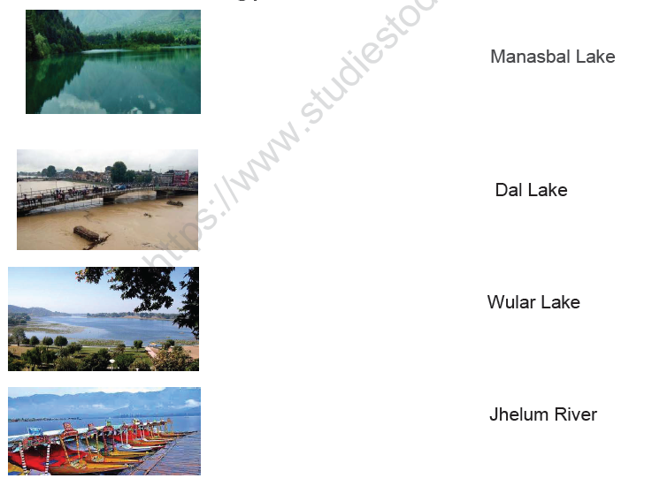 CBSE Class 1 GK Revision Worksheet Set C