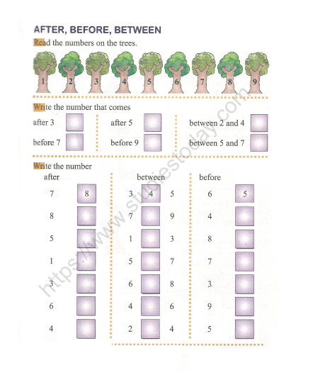 CBSE Class 1 Maths After Before Worksheet