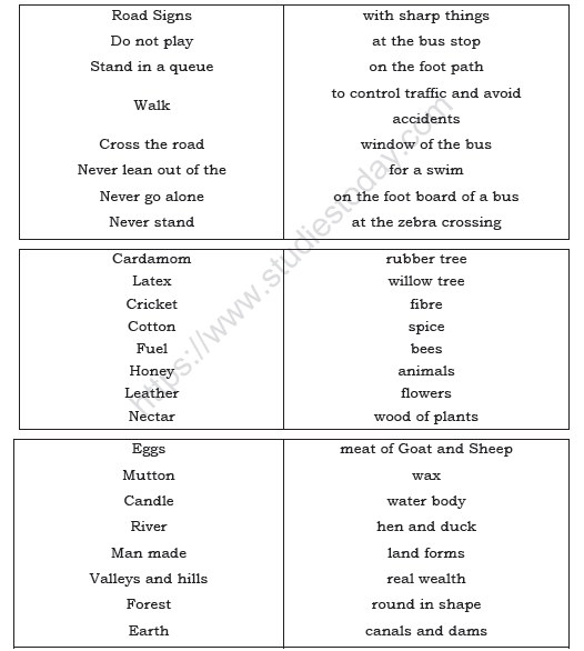 CBSE Class 2 EVS Revision Worksheet Set E