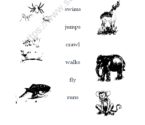 CBSE Class 2 English Riddle Time Worksheet