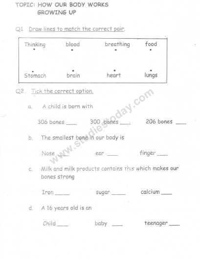 CBSE Class 2 English Worksheet Set A