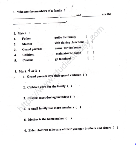 CBSE Class 2 EVS My Family Worksheet
