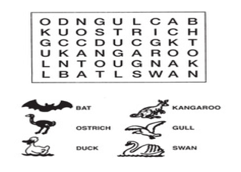 CBSE Class 2 EVS Animals Worksheet