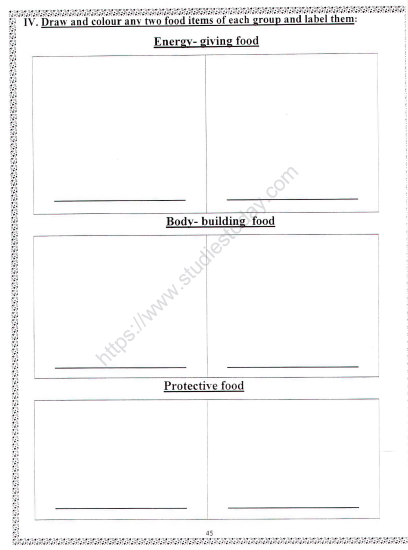 CBSE Class 2 EVS Our Food Habits Worksheet