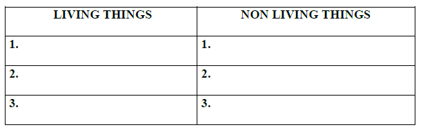 CBSE Class 2 EVS Our Environment Worksheet