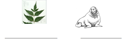 CBSE Class 2 GK Practice Worksheet