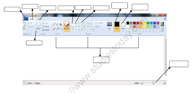 CBSE Class 3 Computer Ms Paint Worksheet