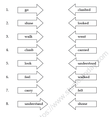 CBSE Class 3 English Grammar Worksheet