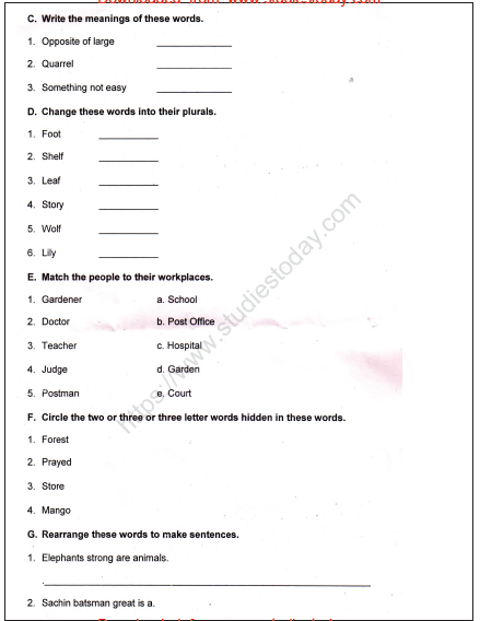 CBSE Class 3 English Revision Worksheet Set 1