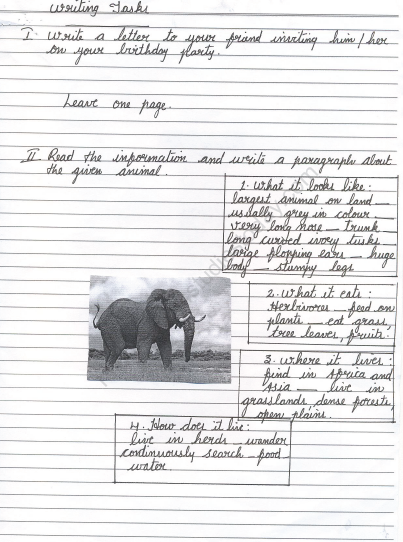 CBSE Class 3 English Writing Tasks Worksheet