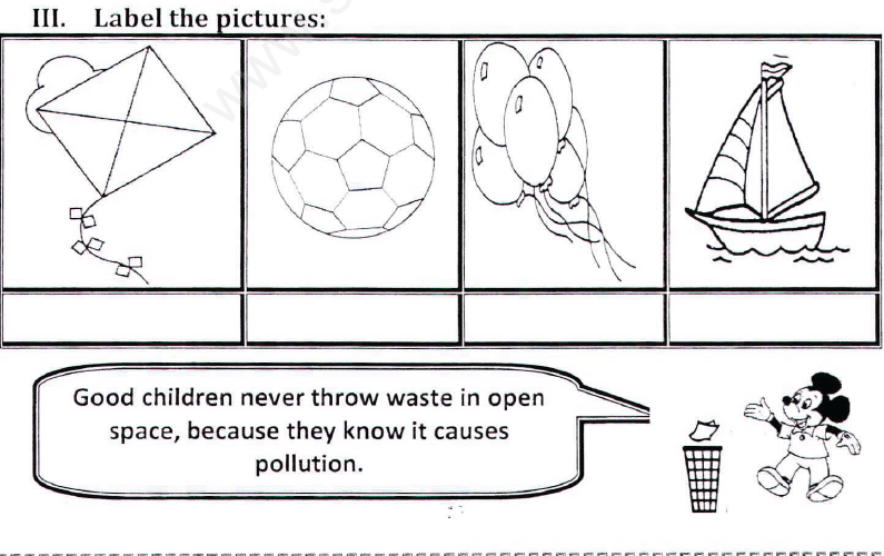 CBSE Class 1 EVS Air Assignment