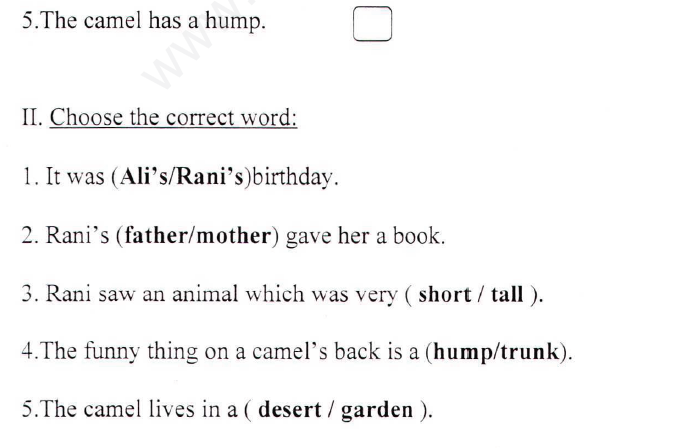 CBSE Class 1 English Reading Comprehension Assignment