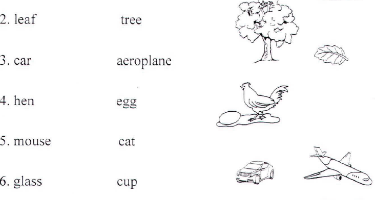 CBSE Class 1 English Vocabulary Assignment