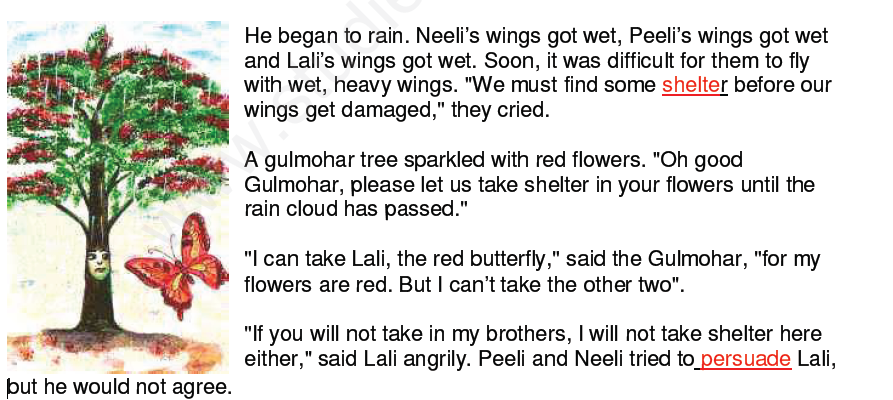 CBSE Class 2 English Write few lines Assignment