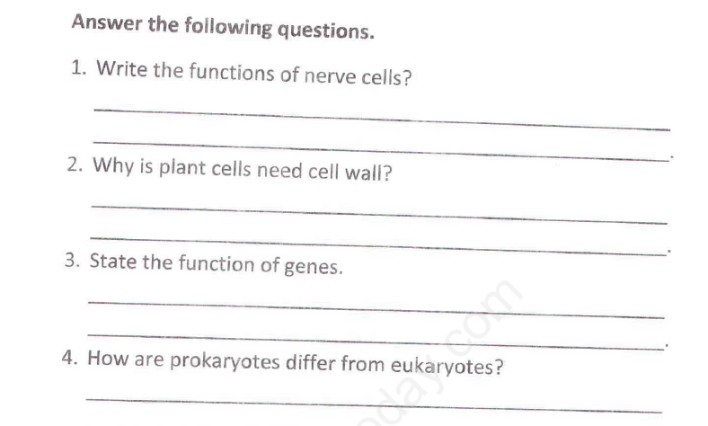 CBSE Class 8 Science Cell Structure and Functions Assignment