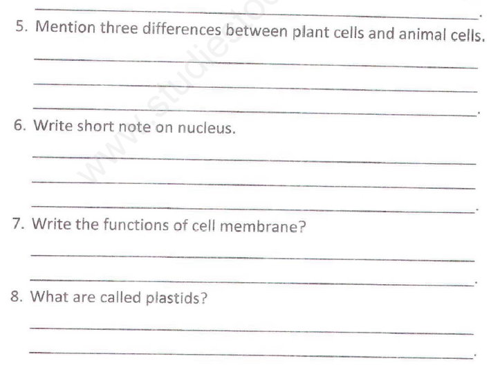 CBSE Class 8 Science Cell Structure and Functions Assignment