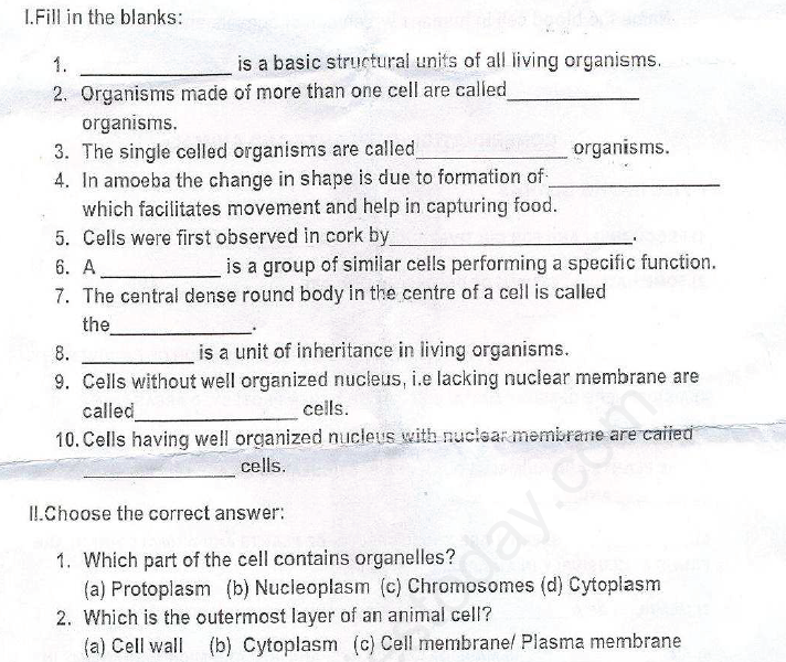 CBSE Class 8 Science Cell Structure and Functions Assignment