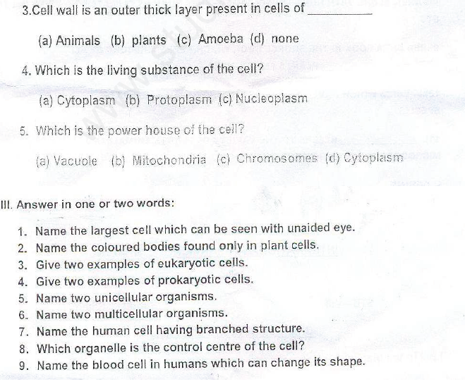 CBSE Class 8 Science Cell Structure and Functions Assignment