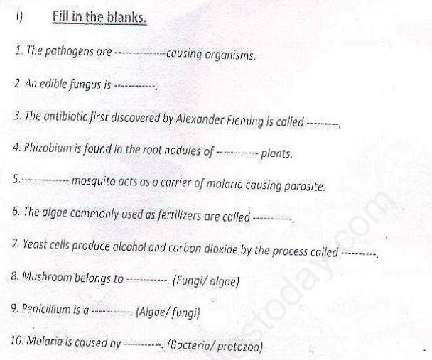 CBSE Class 8 Science Micro Organisms Friends and Foe Assignment