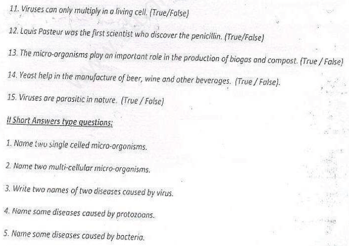 Micro Organisms Friends and Foe Assignment for CBSE Class 8 Science (PDF)