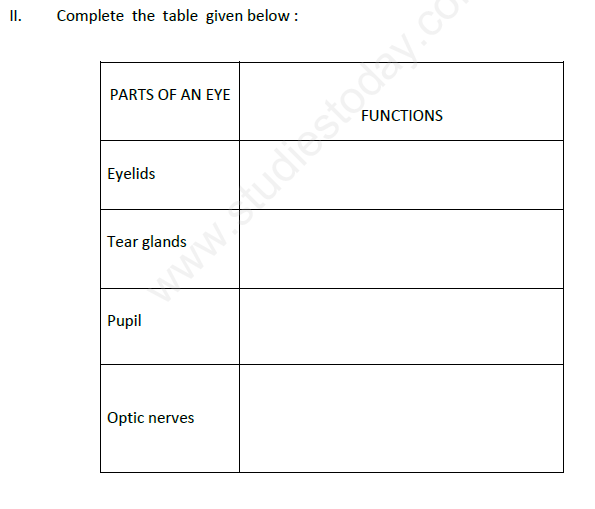 Physics Chemistry Biology Assignment for CBSE Class 8 Science Set 1 (PDF)