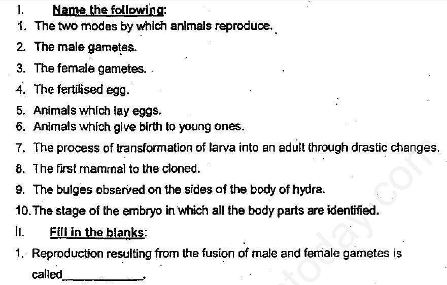 CBSE Class 8 Science Reproduction in Animals Assignment
