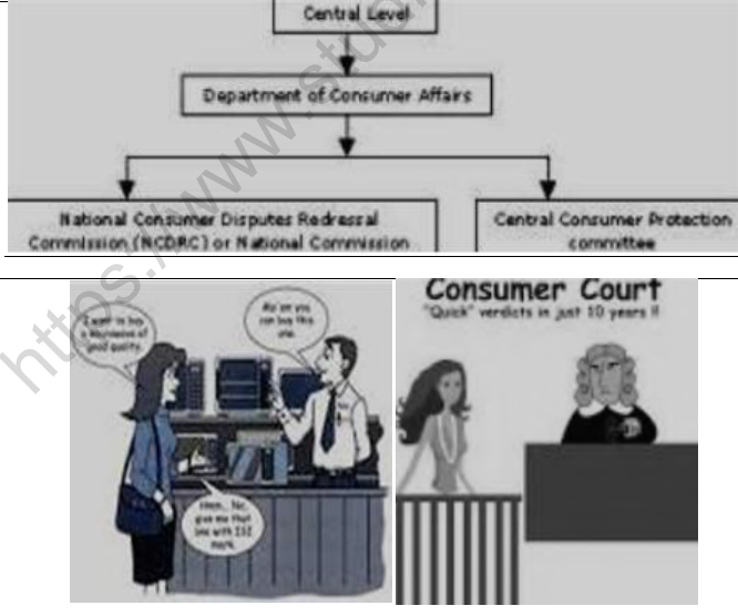 CBSE Class 10 Economics Consumer Rights Worksheet Set A