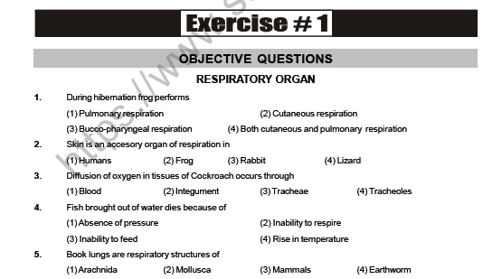 CBSE Class 12 Biology Respiration MCQs, Multiple Choice Questions for ...