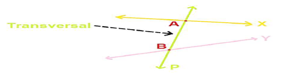 CBSE Class 7 Mathematics Lines And Angles Worksheet Set E