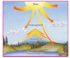 CBSE Class 7 Geography Environment Worksheet