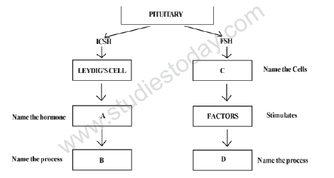 CBSE Class 12 Biology Sample Paper 2012 Set A