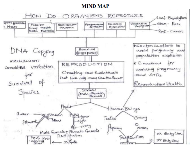 CBSE Class 10 Science How Do Organisms Reproduce Notes Set C