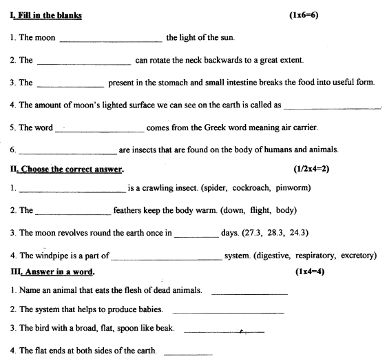 Class 3 Evs Chapter 3 Worksheet Download Cbse Class 3 Evs Worksheets