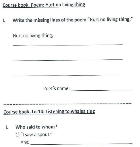 CBSE Class 3 English Sample Paper Set O