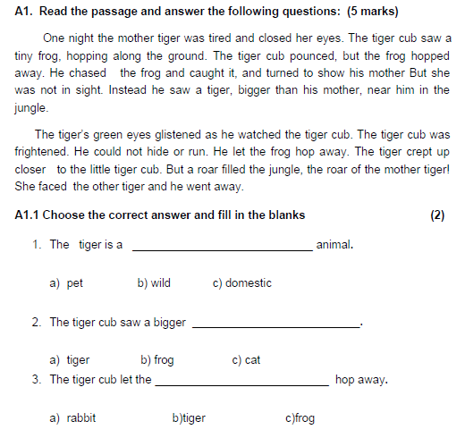 CBSE Class 3 English Sample Paper Set P