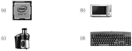 Cbse Class 3 Computer Input Output And Storage Devices Mcqs With Answers