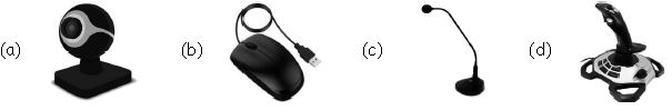 Cbse Class 3 Computer Input Output And Storage Devices Mcqs With Answers